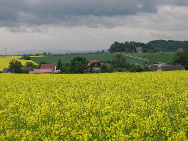 Veštačka eko koža plava skaj tamno plavi teget 125x145