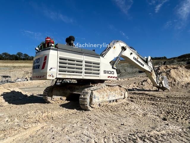 Liebherr R9100 bager guseničar