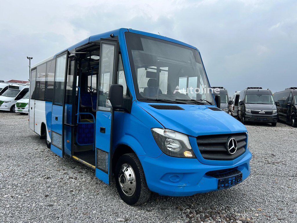 Mercedes-Benz Sprinter 516 putnički minibus