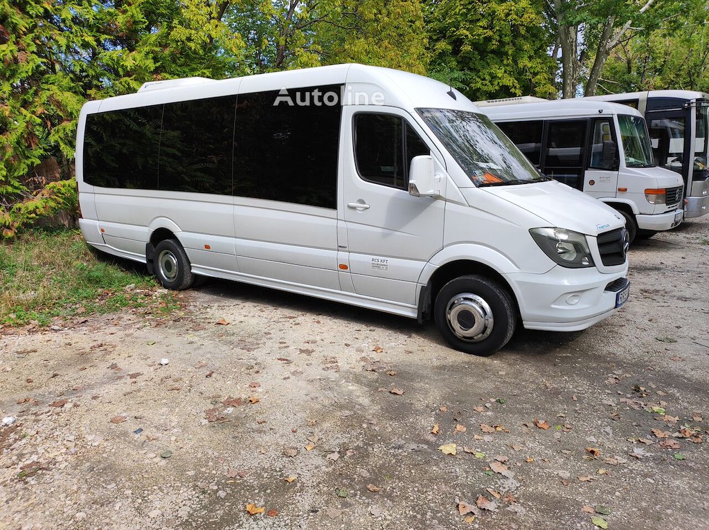 Mercedes-Benz Sprinter 519 putnički minibus