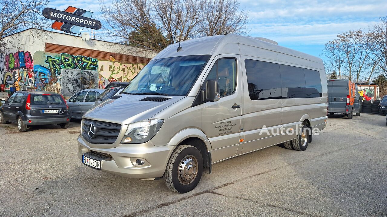 Mercedes-Benz Sprinter 519 putnički minibus