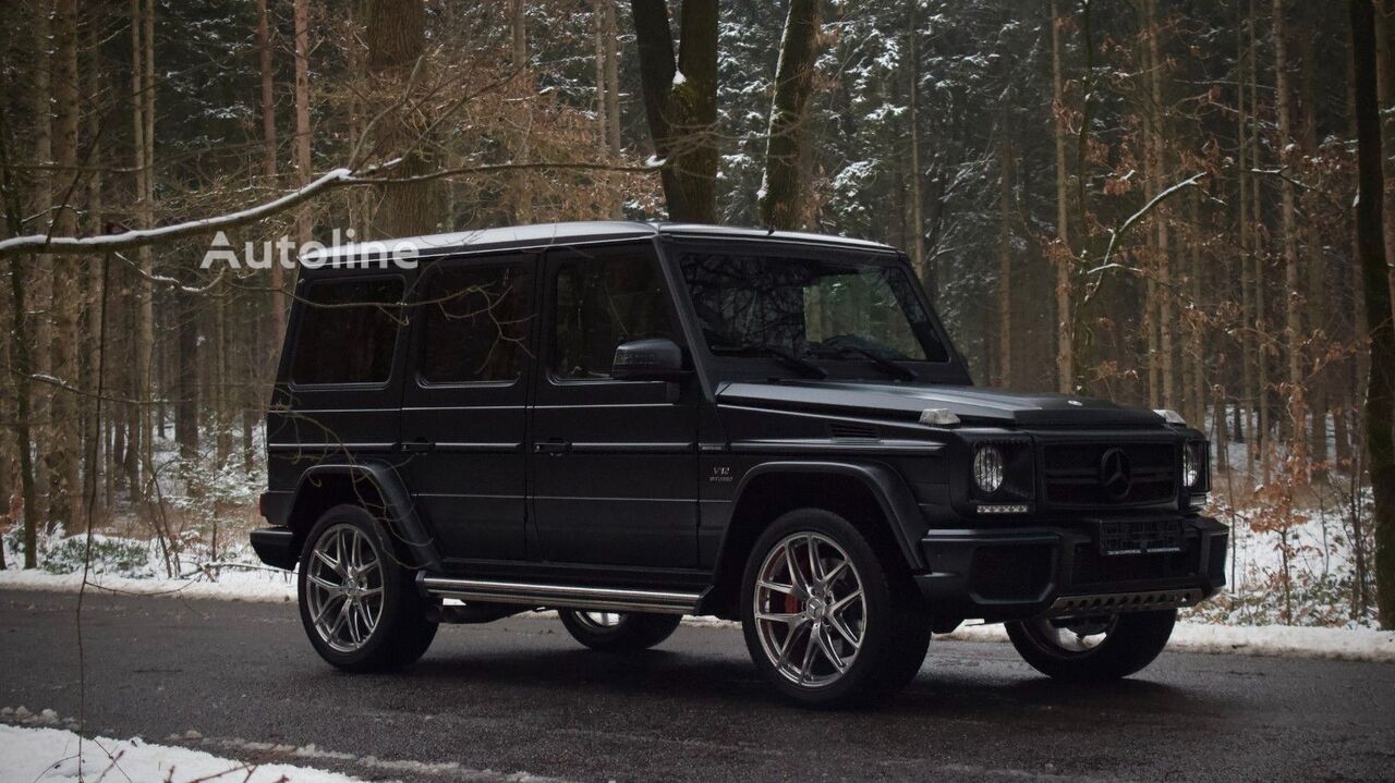 Mercedes-Benz G 65 AMG terenac