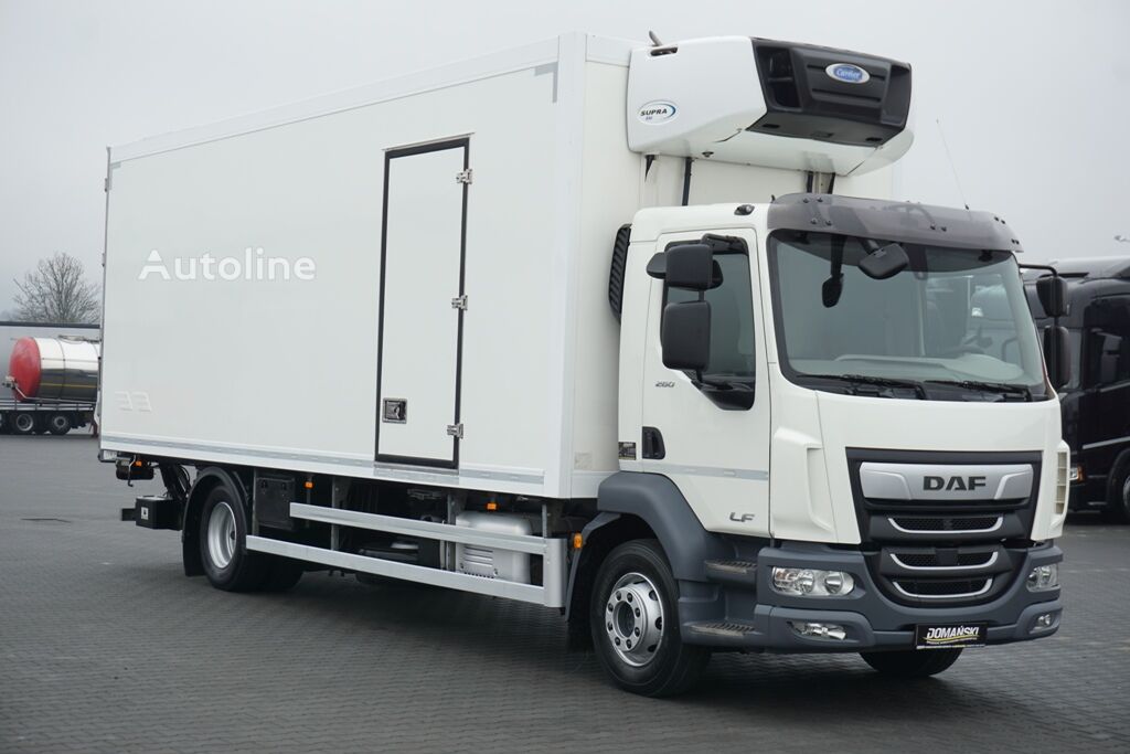 DAF LF / 260 / EURO 6 / CHŁODNIA + WINDA / 17 PALET / ŁAD. 7840 KG kamion hladnjača