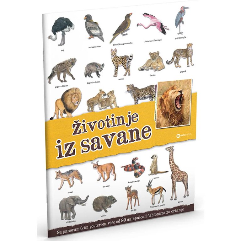 PANORAMA: ŽIVOTINJE IZ SAVANE