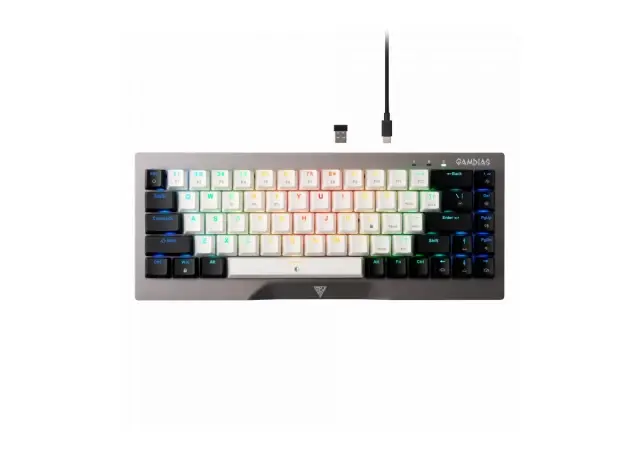 GAMDIAS Tastatura Hermes M4 Hybrid Mehanička RGB