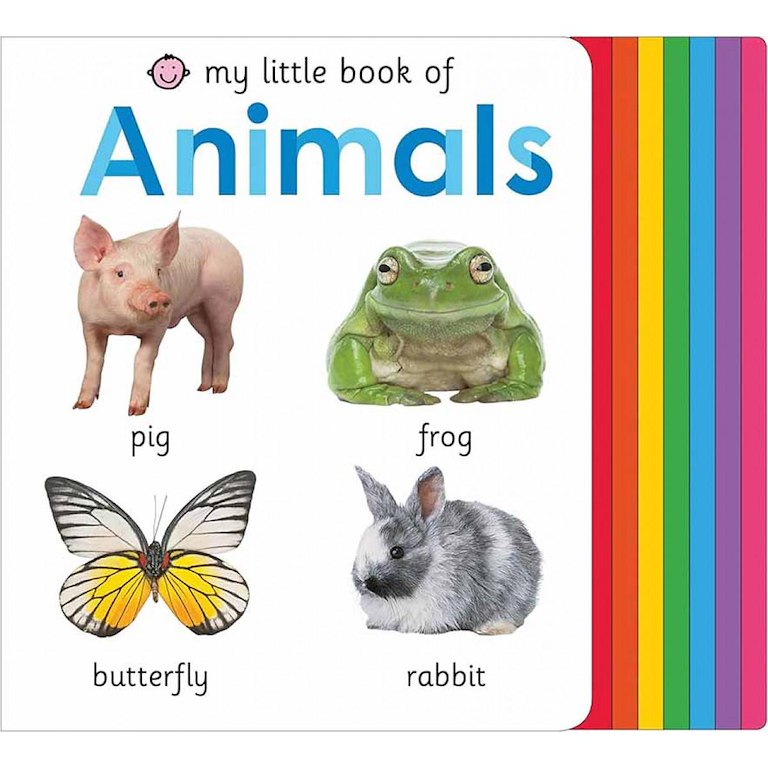 MY LITTLE BOOK OF ANIMALS