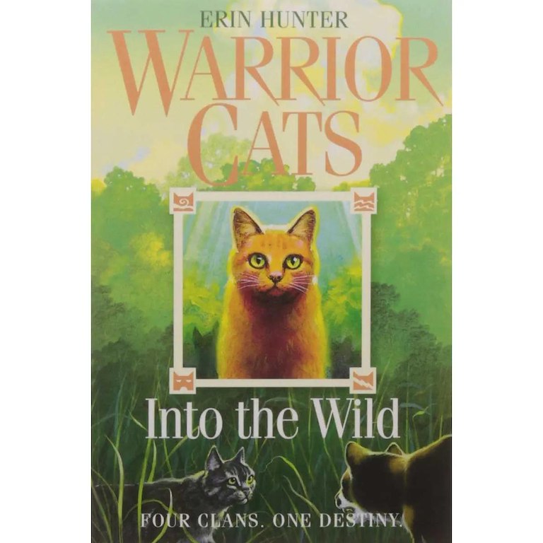 WARRIOR CATS 1 Into the wild