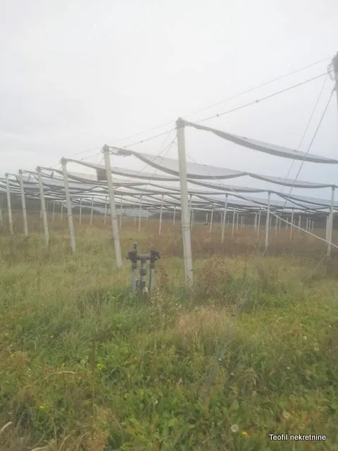 Prodaja, zemljište, 54200m2, Ašanja, Pećinci