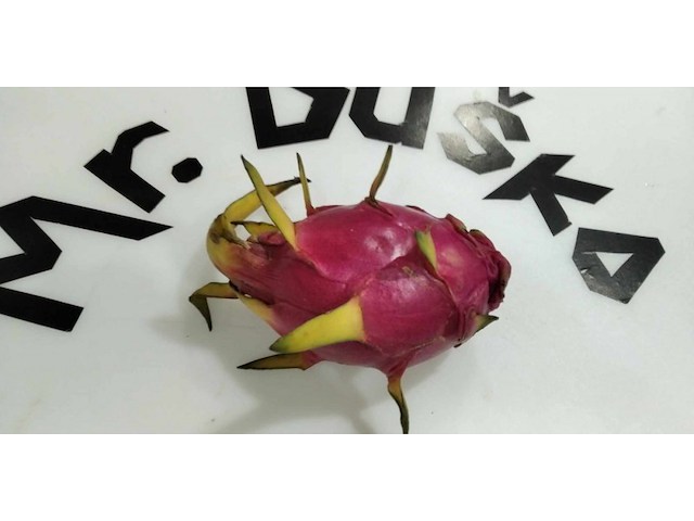 Dragon fruit (Pitaya) 50 semen