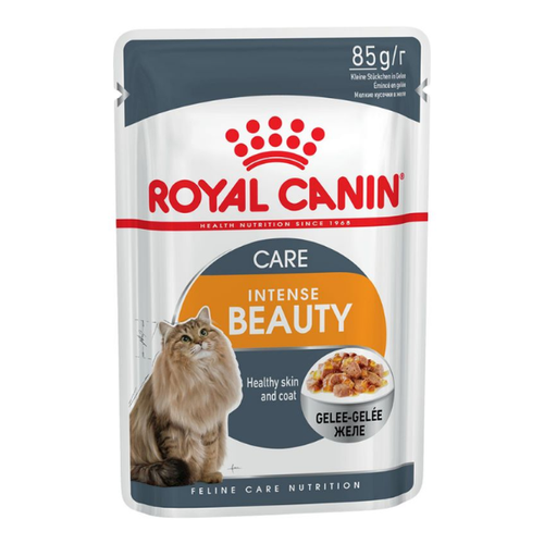 Royal Canin INTENSE BEAUTY IN JELLY, vlažna hrana za mačke 12x85g