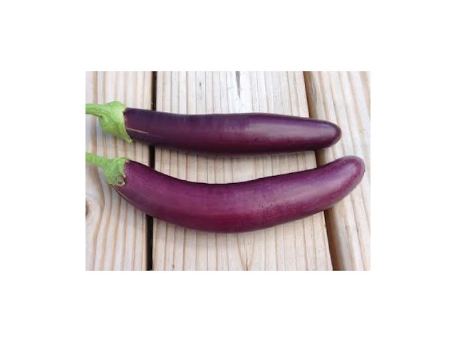 Patlidžan `Long Purple`, 0,5g (oko 150 semenki)