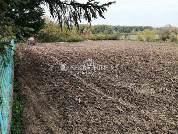 Ravan plac, pravougaonog oblika - odlična ponuda ID#3145