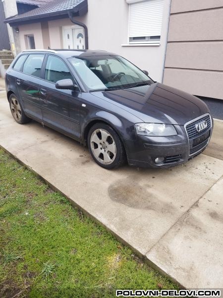 Audi A3 2.0 Tdi Kompletan Auto U Delovima