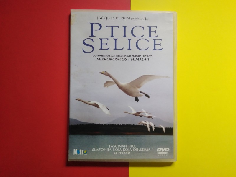 PTICE SELICE