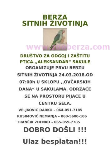 Berza Sakule 24.03