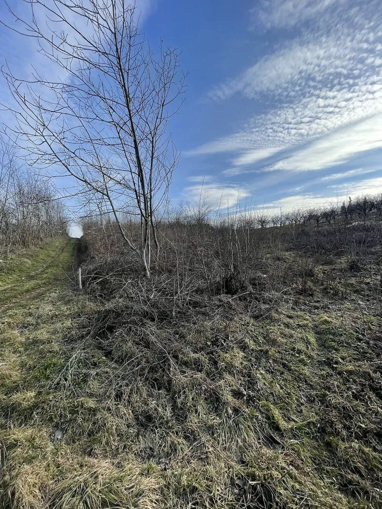 Prodaja, zemljište, 2100m2, Boleč, Grocka, Beograd