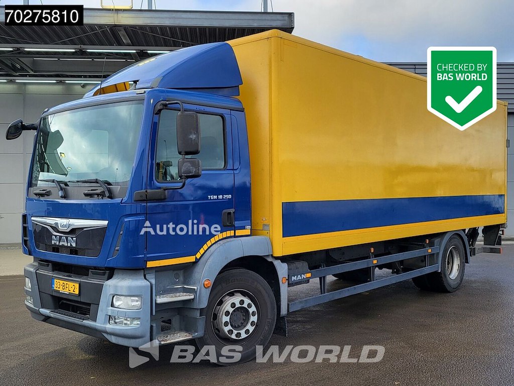 MAN TGM 18.250 4X2 NL-Truck Ladebordwand Navi Euro 6 kamion furgon