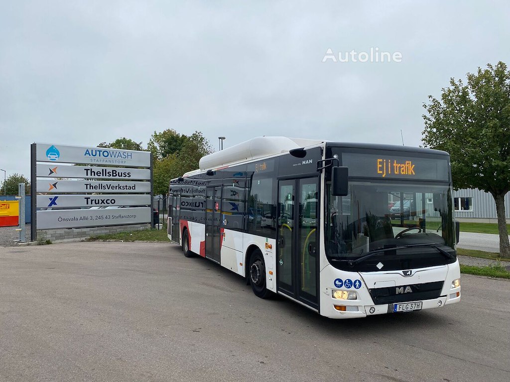 MAN LION´S CITY CNG "2 buses" gradski autobus