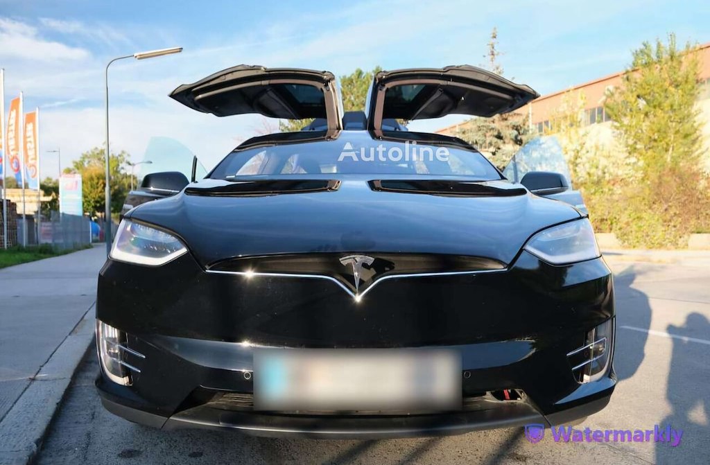 Tesla X 100 D krosover