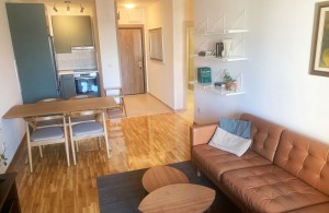 Iznajmljujem Stan-Apartman, Bogoslovija, Beograd Grad