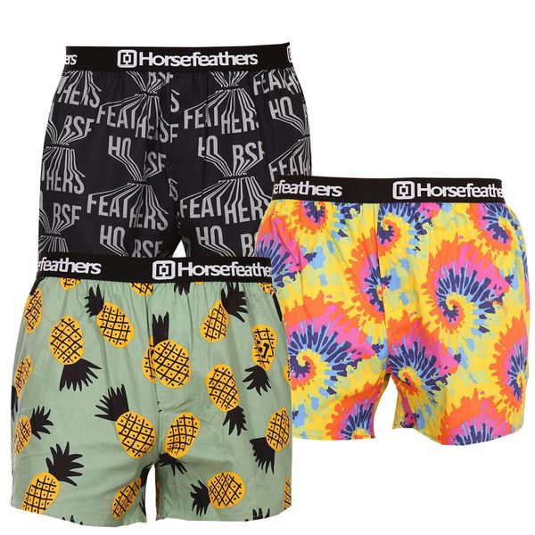 3PACK MEN'S BRIEFS HORSEFEATHERS FRAZIER