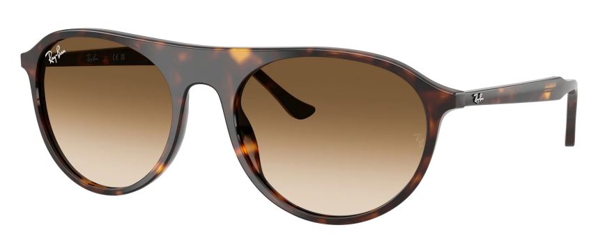 RAY-BAN Sunčane naočare 0RB2215 902/51 56-59