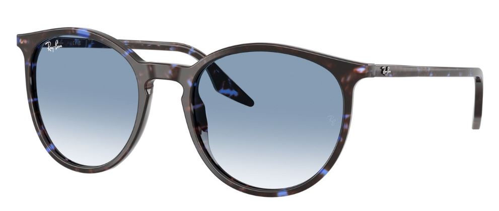 RAY BAN Sunčane naočare 0RB2204 14303F 51-54