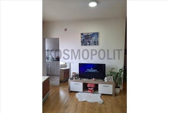 Beograd, Zeleno brdo, Stan, 0.5, 26m2