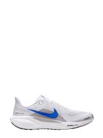 Air zoom pegasus 41