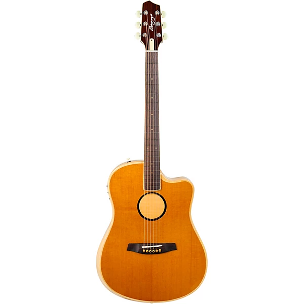 L.R Baggs AEG-1 Torrefied Sitka Spruce ozvučena akustična gitara