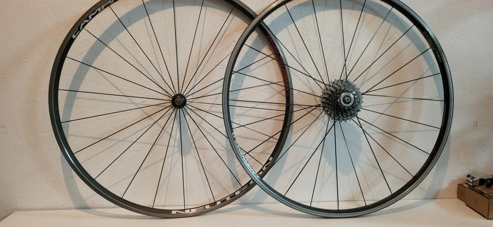 Campagnolo neutron
