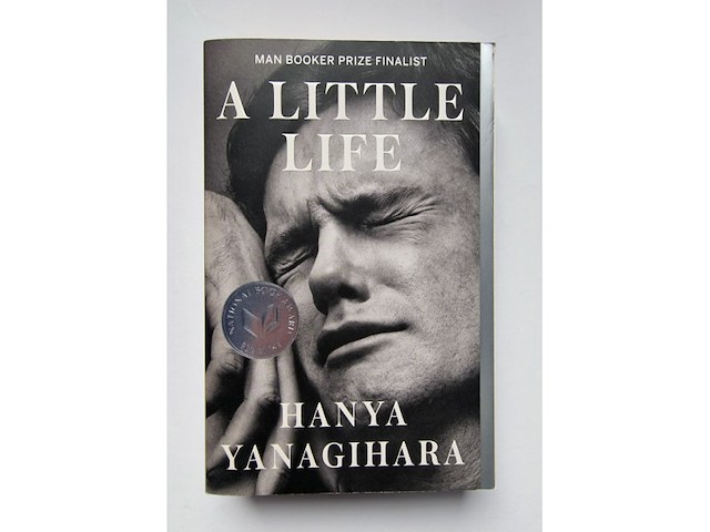 Hanya Yanagihara - A Little Life