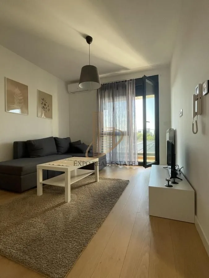 Izdavanje, jednosoban stan, 45m2, Tošin bunar, Novi Beograd, Beograd