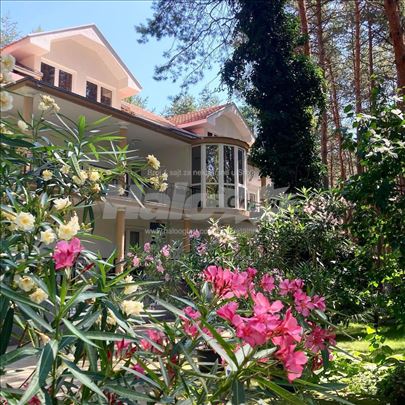 Vila Dunavski Raj Bed&Breakfast