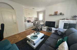 Prodajem Stan-Apartman, Detelinara