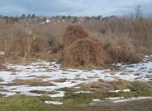 Prodaja Građevinsko zemljište - Irig
