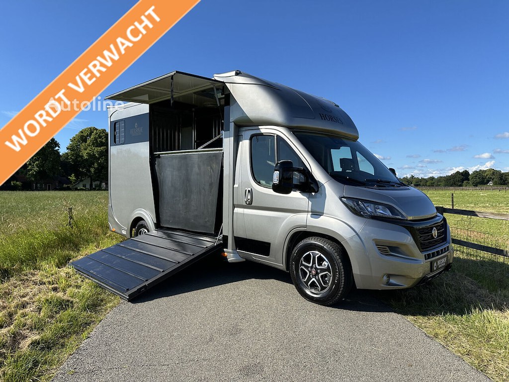 Novi FIAT Ducato 2-paards paardenvrachtwagen vozilo za prevoz konja