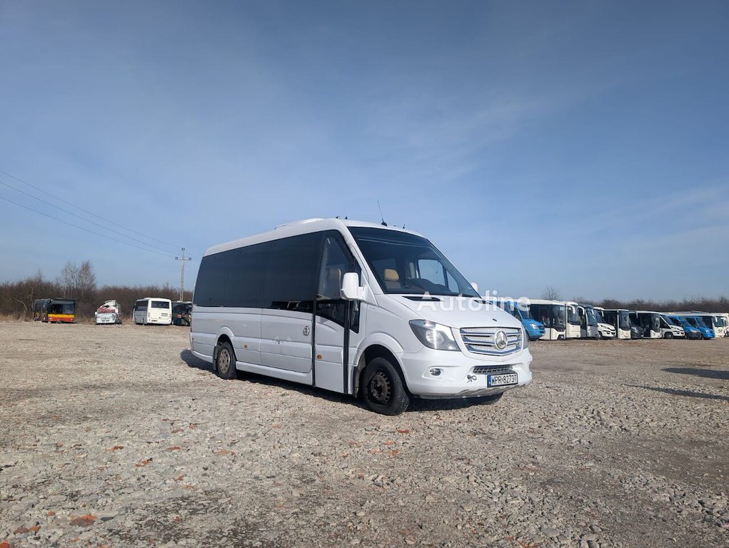 Mercedes-Benz Sprinter 519 putnički minibus