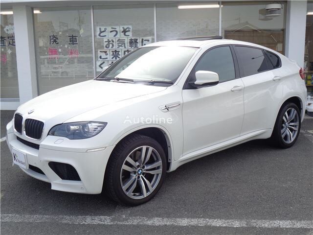 BMW X6 krosover