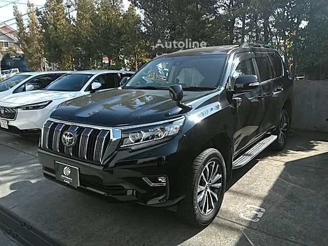 Toyota LAND CRUISER PRADO terenac