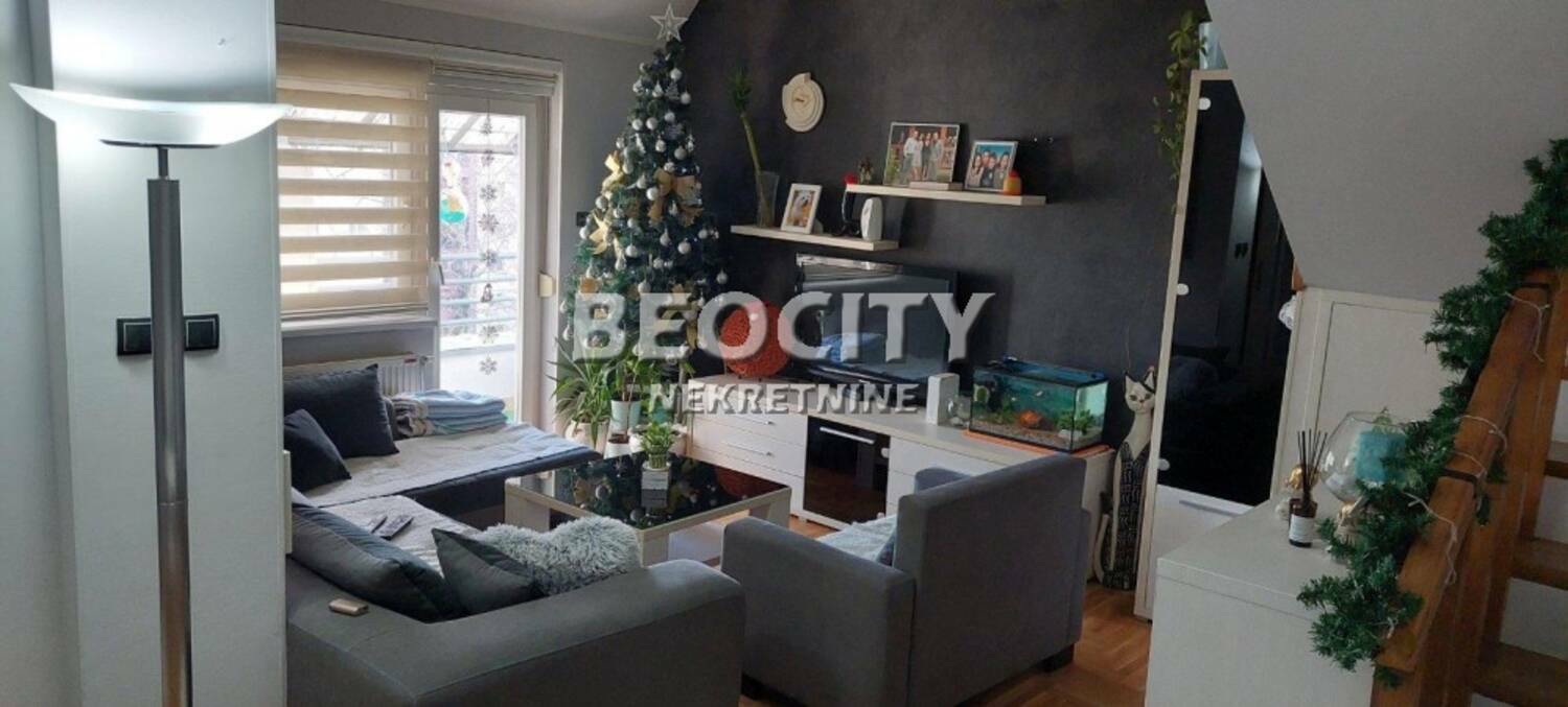 Novi Sad, Detelinara, Molnar Đule, 4.5, 108m2, 230000EUR