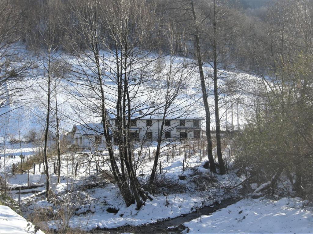 Kopaonik Family House "Brzeće"