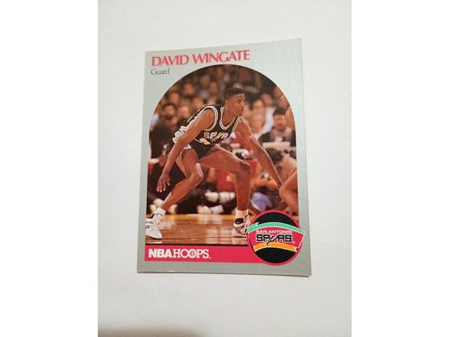 Kartica NBA Hoops 1990 David Wingate br.273