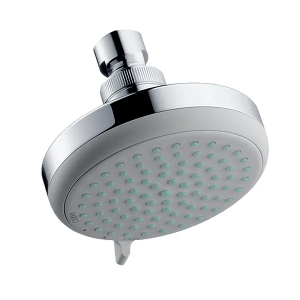 HANSGROHE Tuš ruža croma 100 vario 27441000