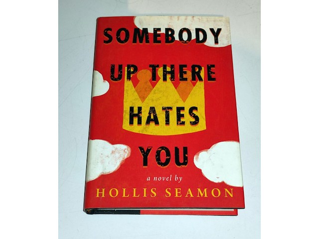 Somebody Up There Hates You - Hollis Seamon