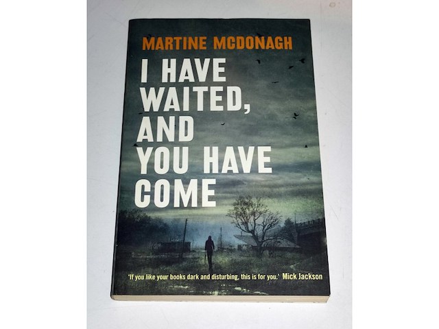 I Have Waited, and You Have Come - Martine McDonagh