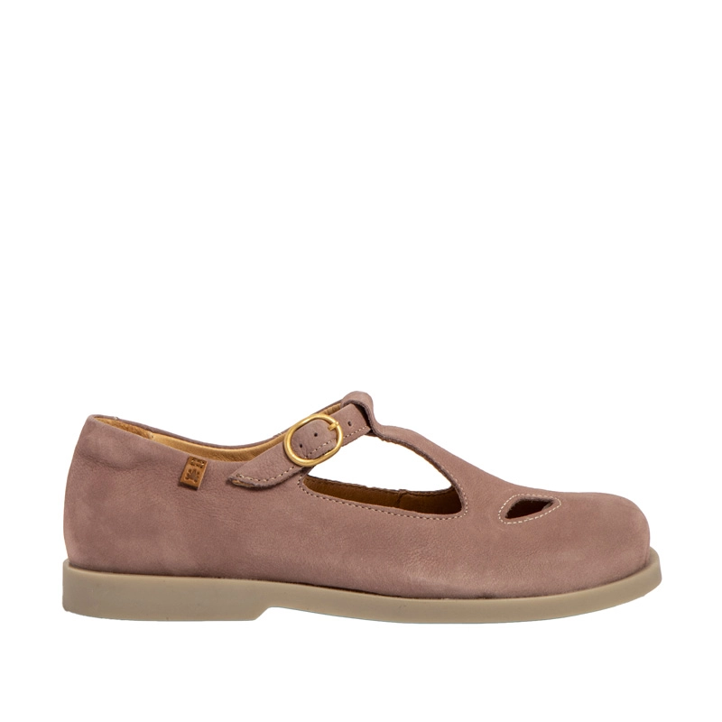 El Naturalista Arenisca N5873L
