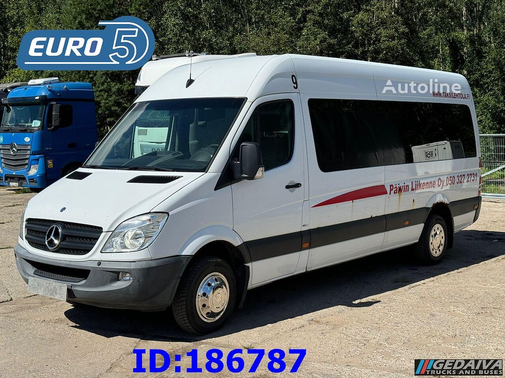 Mercedes-Benz Sprinter 516 - 17-seater - Euro5 turistički autobus