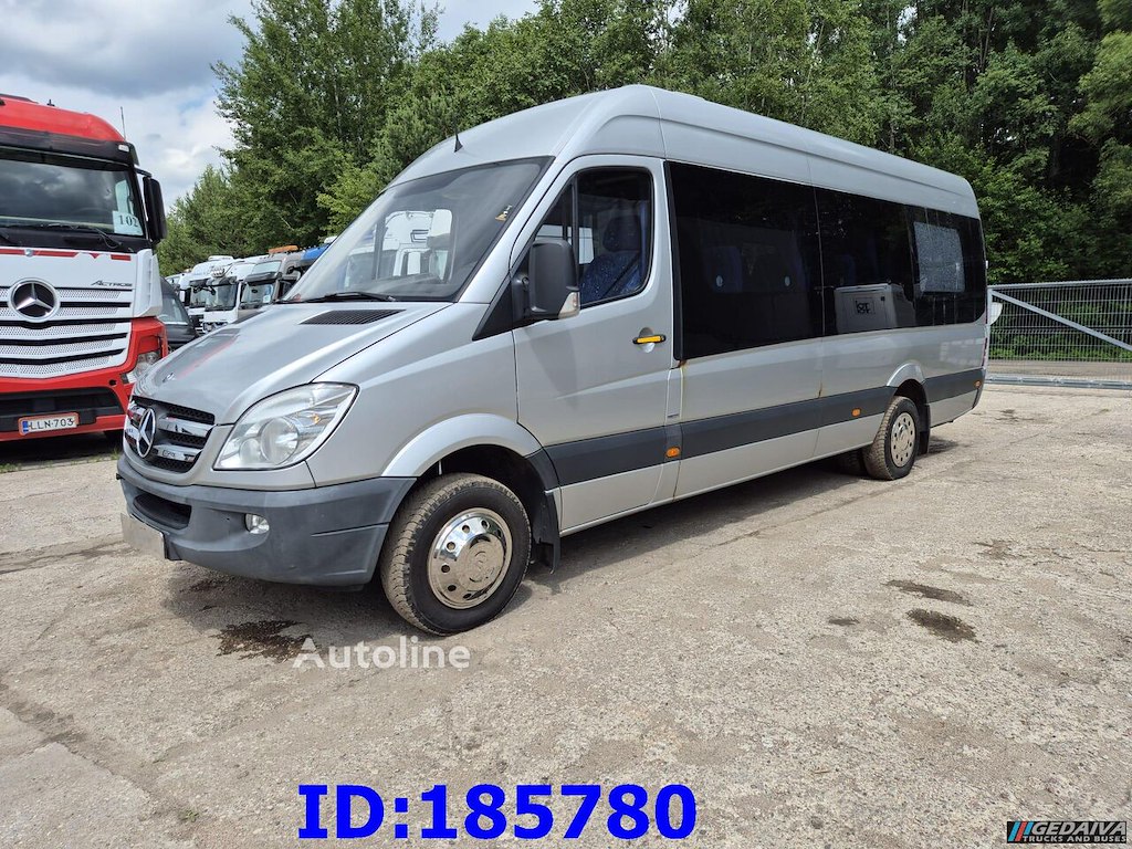 Mercedes-Benz Sprinter 516 - VIP - Avestark - 17 Seater turistički autobus