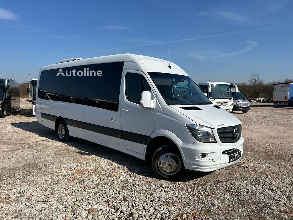 Mercedes-Benz Sprinter 519 putnički minibus